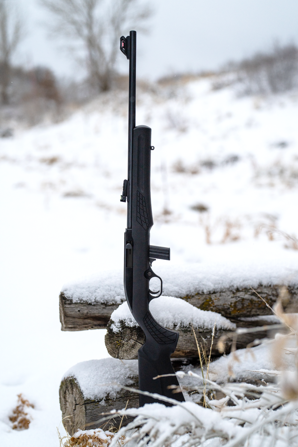 Rifle 7022 semi auto 22LR reliable and accurate rimfire